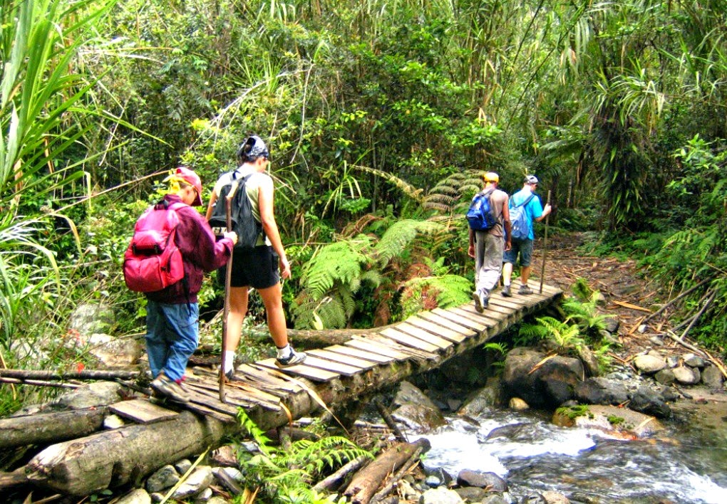 Ecoturismo en República Dominicana » Fundación Mundo Silvestre
